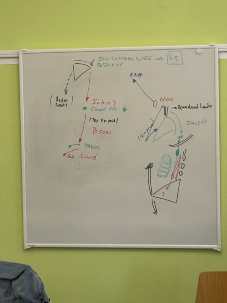 Fision Physio Academy